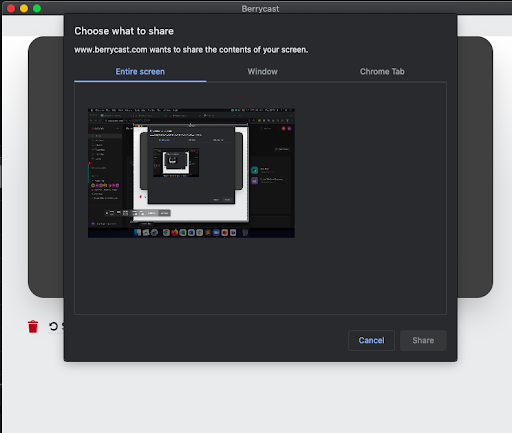 Berrycast - Best video screen recorder for Windows and Mac